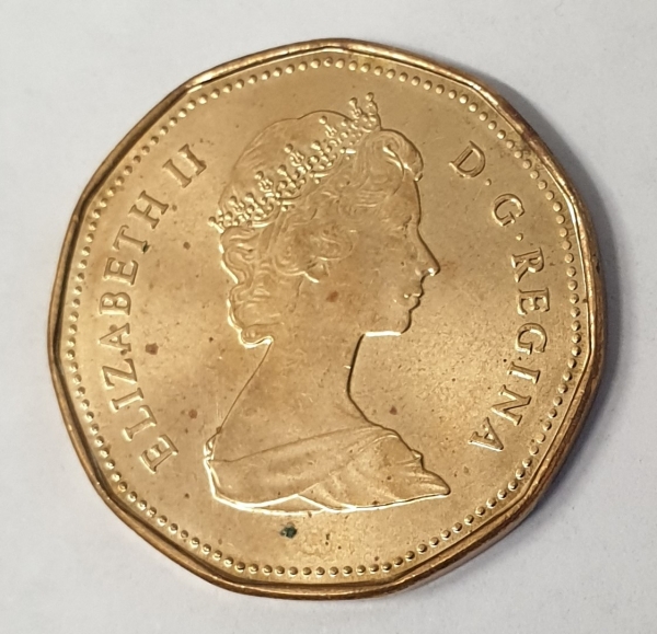 CANADA 1988 . ONE DOLLAR . LOONIE COIN . NICE GRADE . COLLECTABLE
