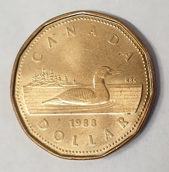 CANADA 1988 . ONE DOLLAR . LOONIE COIN . NICE GRADE . COLLECTABLE