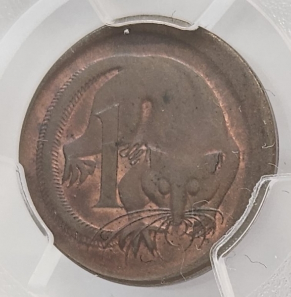 AUSTRALIA 1966 . ONE CENT COIN . ERROR . BROADSTRUCK